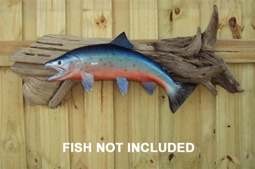 Fish Mount Accessories, Ordinary Fish Mounts, Fish Mount Options ...