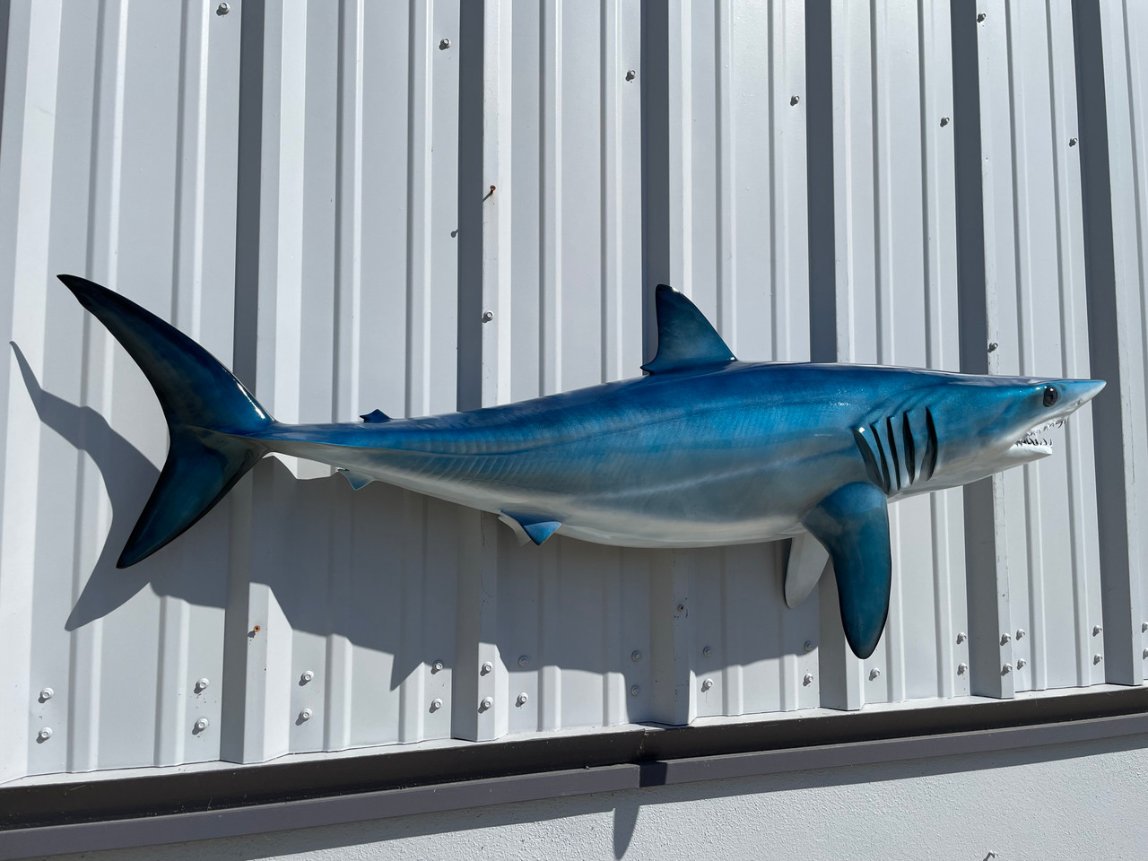 57 Inch Mako Shark Mount Replica Reproduction For Sale