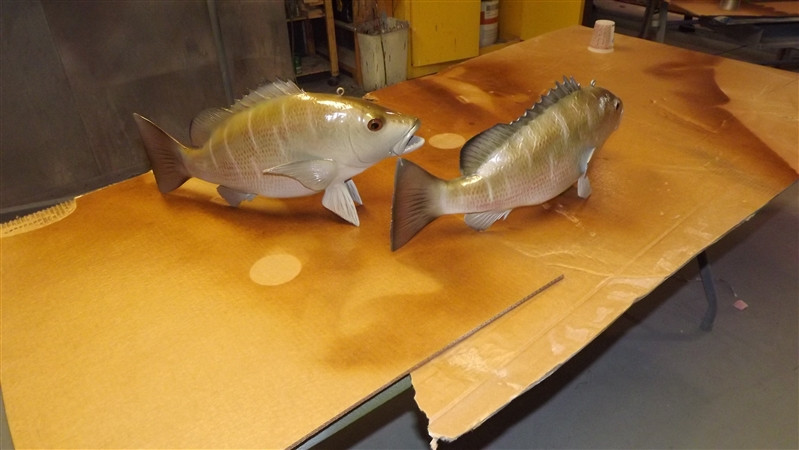 Mangrove Snapper Combo 3D Suspension Fish Mount Replica For Sale