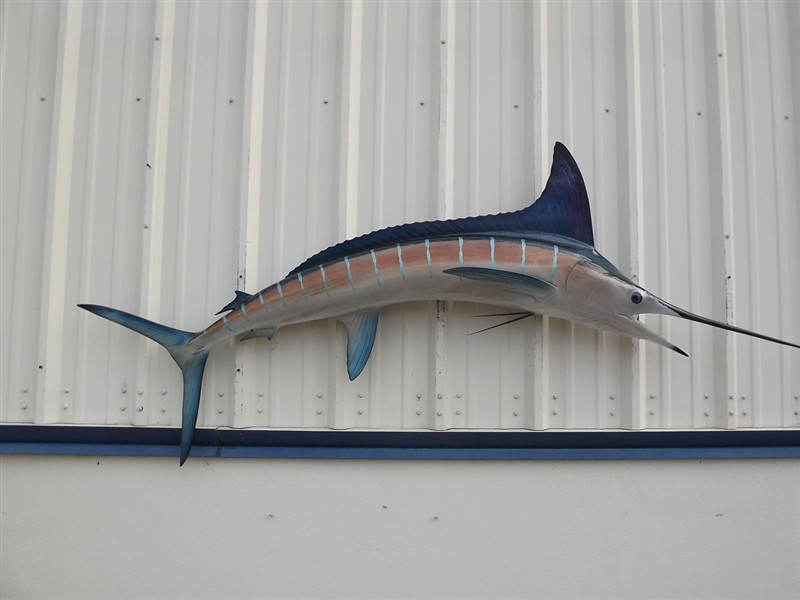 84 Inch Striped Marlin Fish Mount Replica Reproduction For Sale