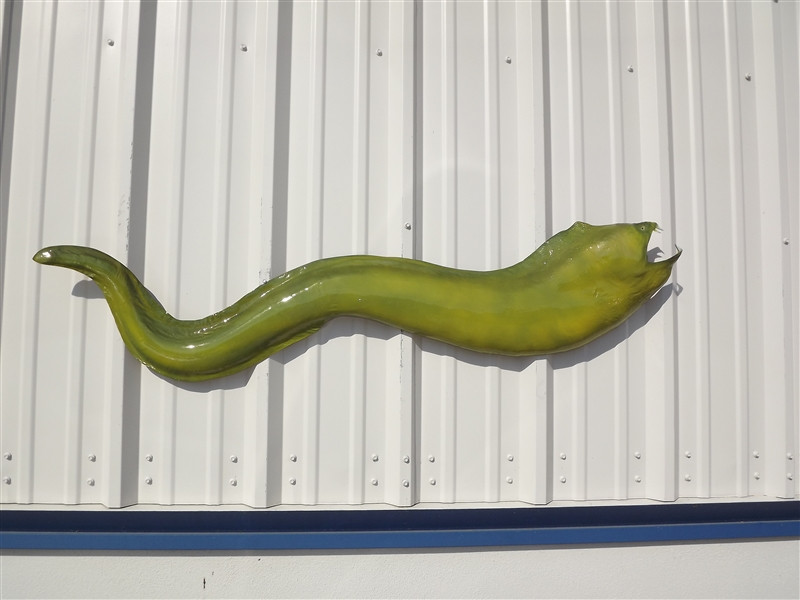 Eel Half Mounts | Eel Half Sided Replicas