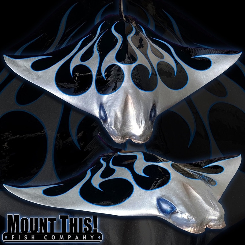 Flamed Fish Mounts | Fire Flame Shark Mounts | Custom Fire Mounts