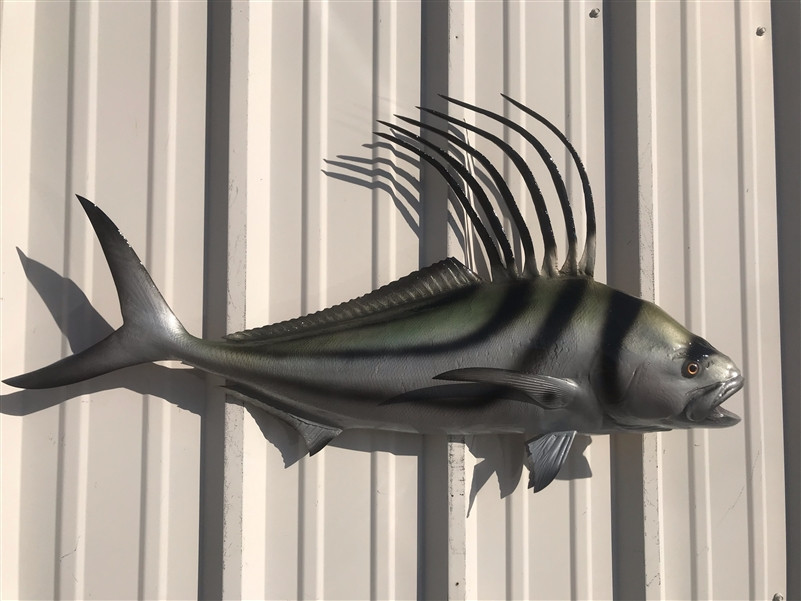 Roosterfish Mounts By Mount This Fish | Roosterfish Full Mounts