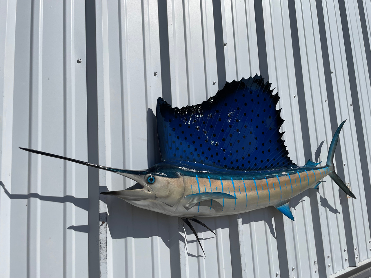 71 Inch Sailfish Half Sided Fish Mount Replica Reproduction