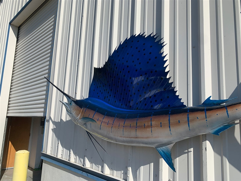 102 Inch Atlantic Sailfish Full Mount Fish Replica