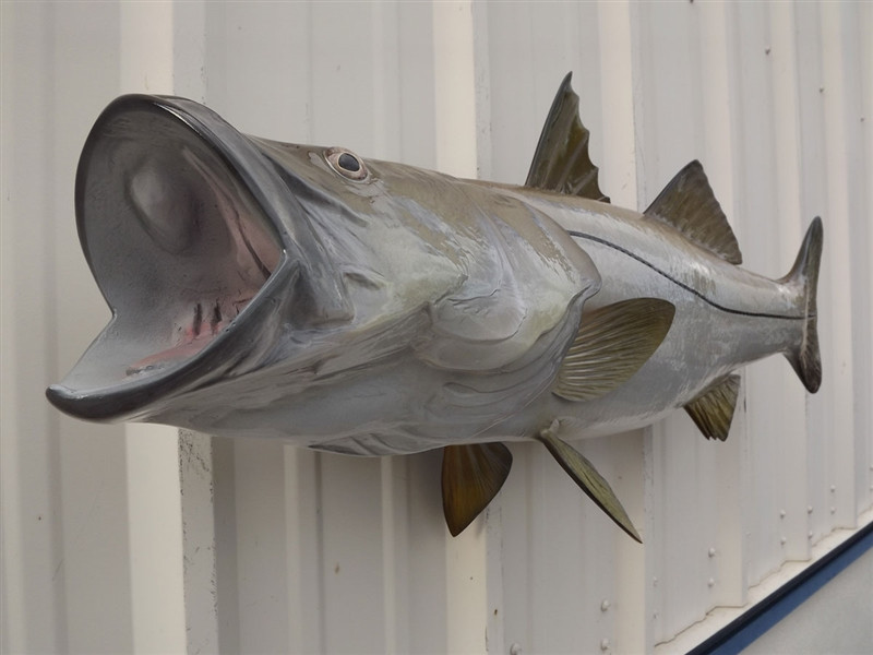 41 Inch Snook Mount 41 Inch Snook Full Mount