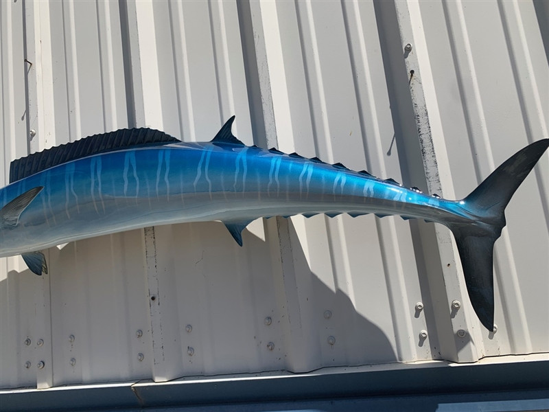 54 Inch Wahoo Fish Mount Replica Reproduction For Sale
