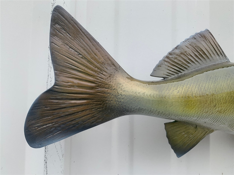 Walleye Fish Mount Two Sided Wall Mount Fish Replica - 21 Inches