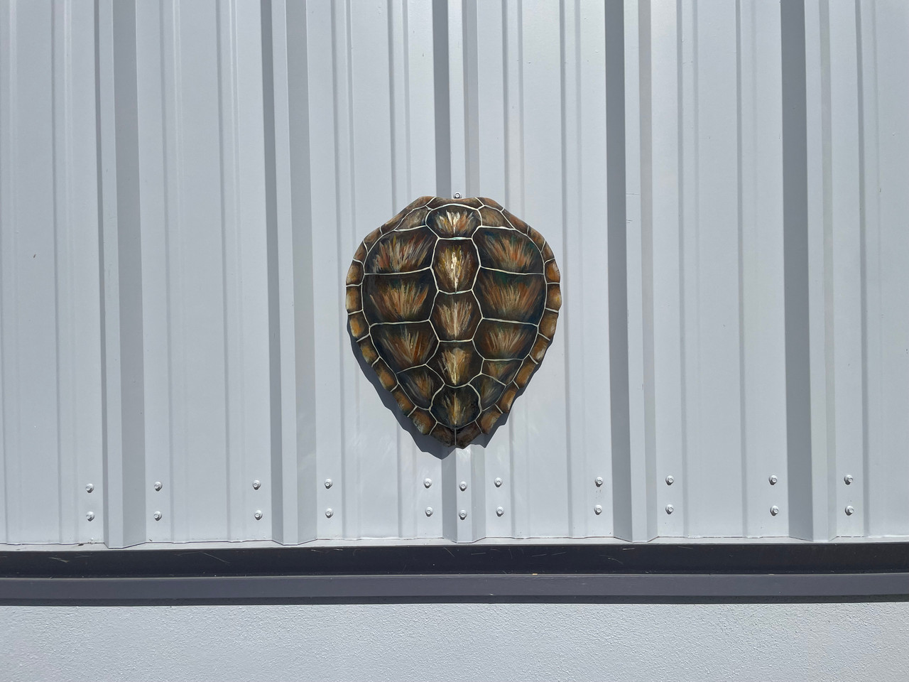 Hand Painted 16 Inch Hawksbill Turtle Shell Half Sided Mount Replica ...