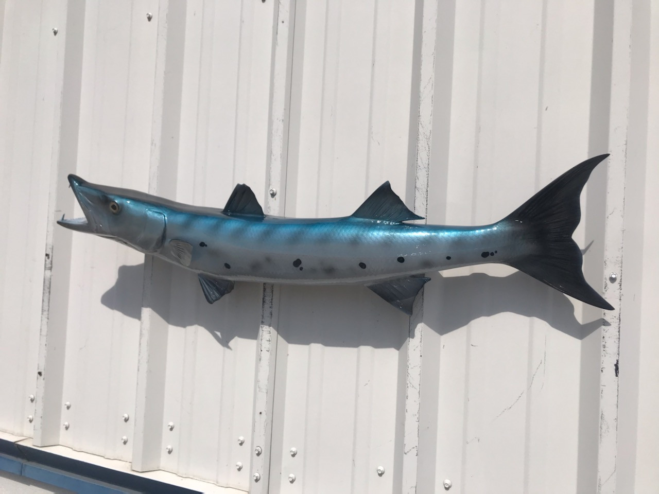 44 Inch Barracuda Fish Mount Replica Reproduction For Sale