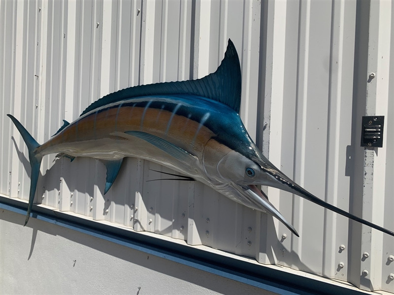 You want your friends to Ooh and Ah? Put this stunning 89 inch blue ...