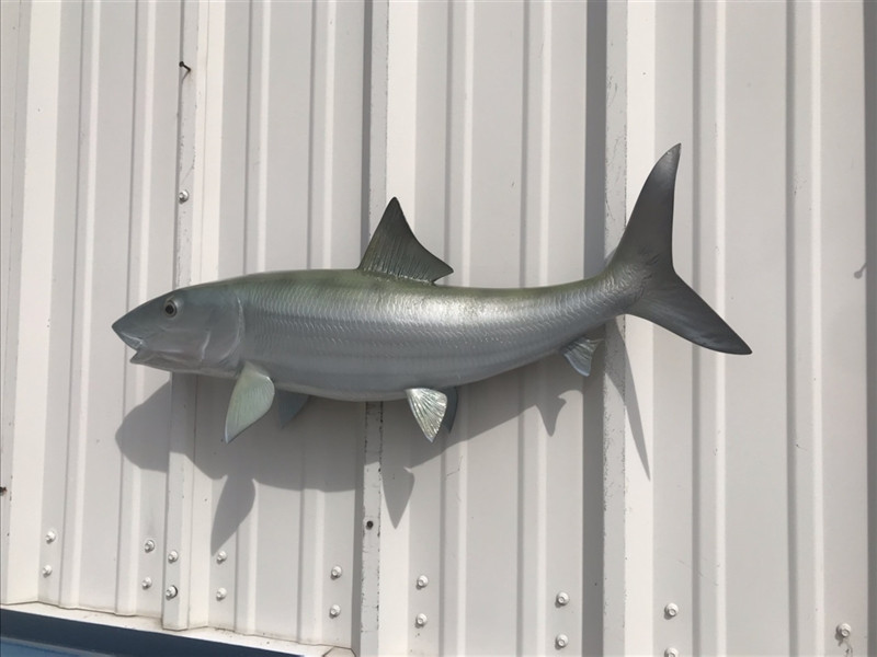 32 Inch Bonefish Mount 32 Inch Bonefish Full Mount 32 Inch Bonefish Replica