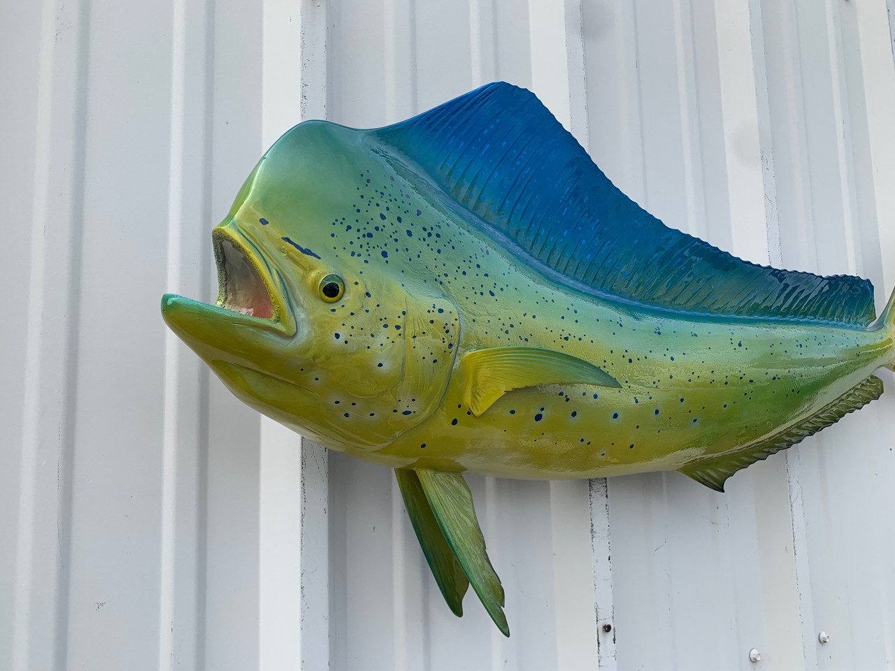 47 Inch Bull Dolphin Fish Mount Replica Reproduction For Sale