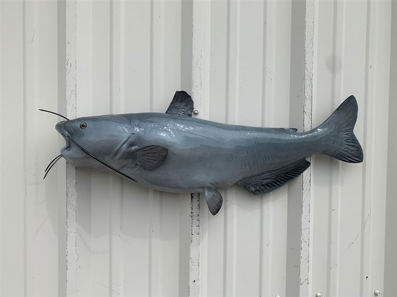 31 Inch Blue Catfish Half Sided Fish Mount Replica Reproduction