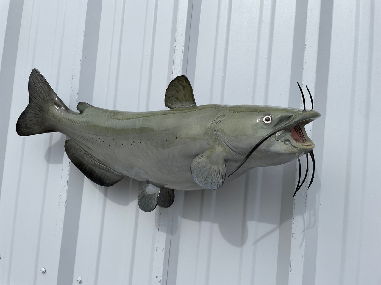 29 Inch Channel Catfish Fish Mount Replica Reproduction For Sale