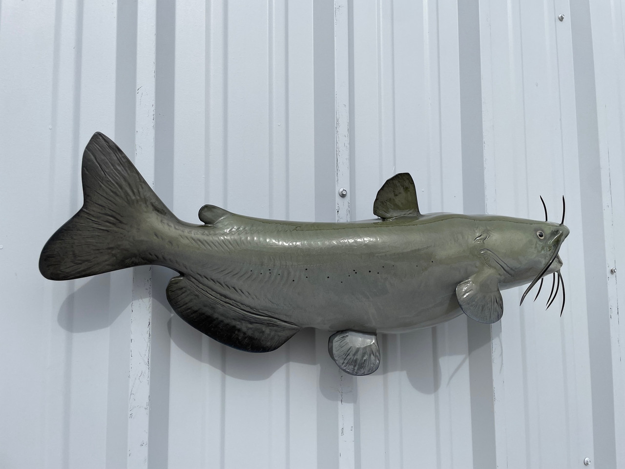 29 Inch Channel Catfish Fish Mount Replica Reproduction For Sale