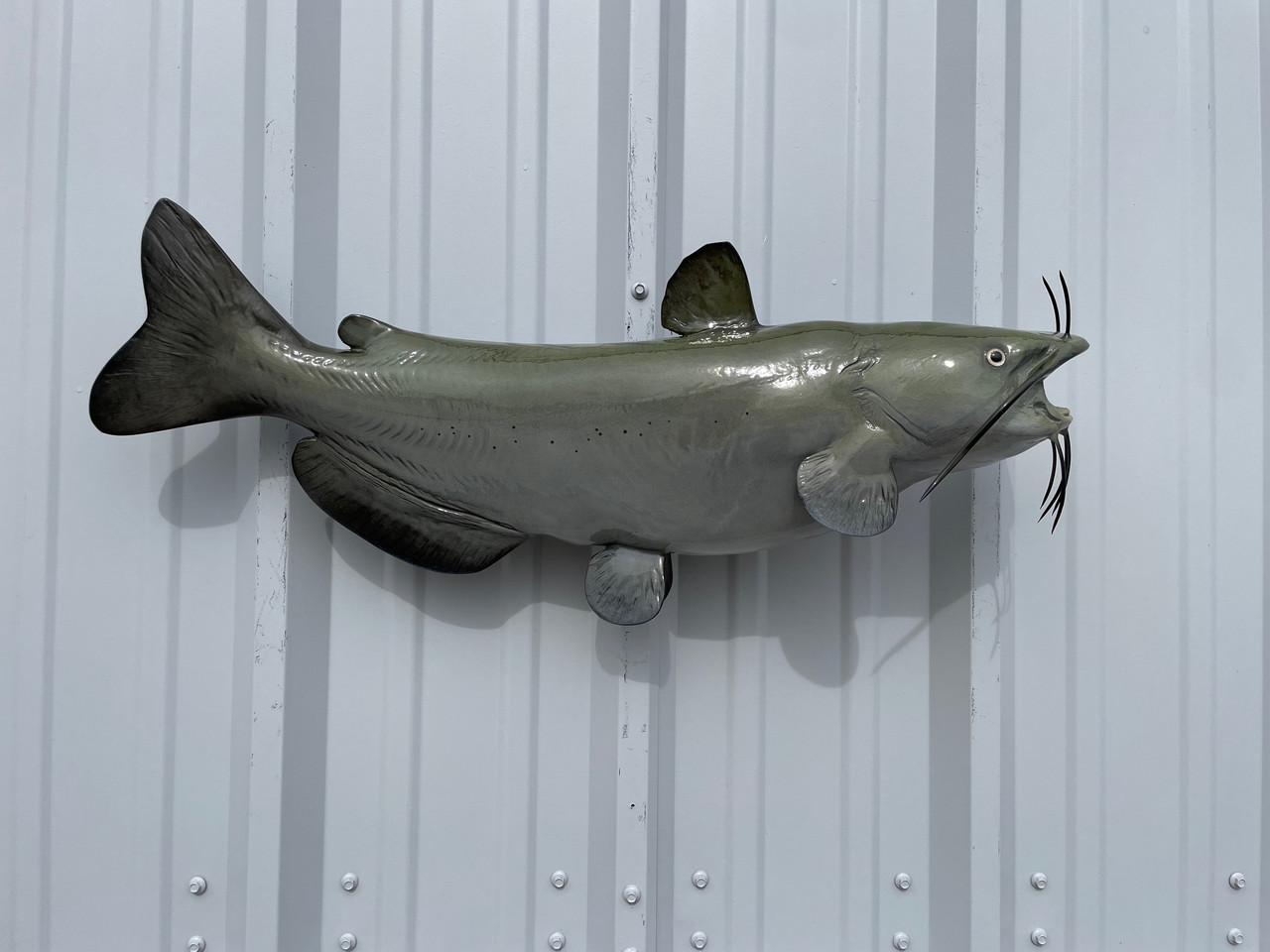 29 Inch Channel Catfish Fish Mount Replica Reproduction For Sale