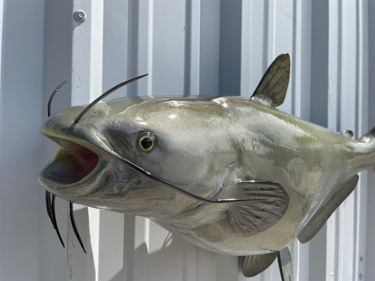 34 Inch Channel Catfish Fish Mount Replica Reproduction For Sale