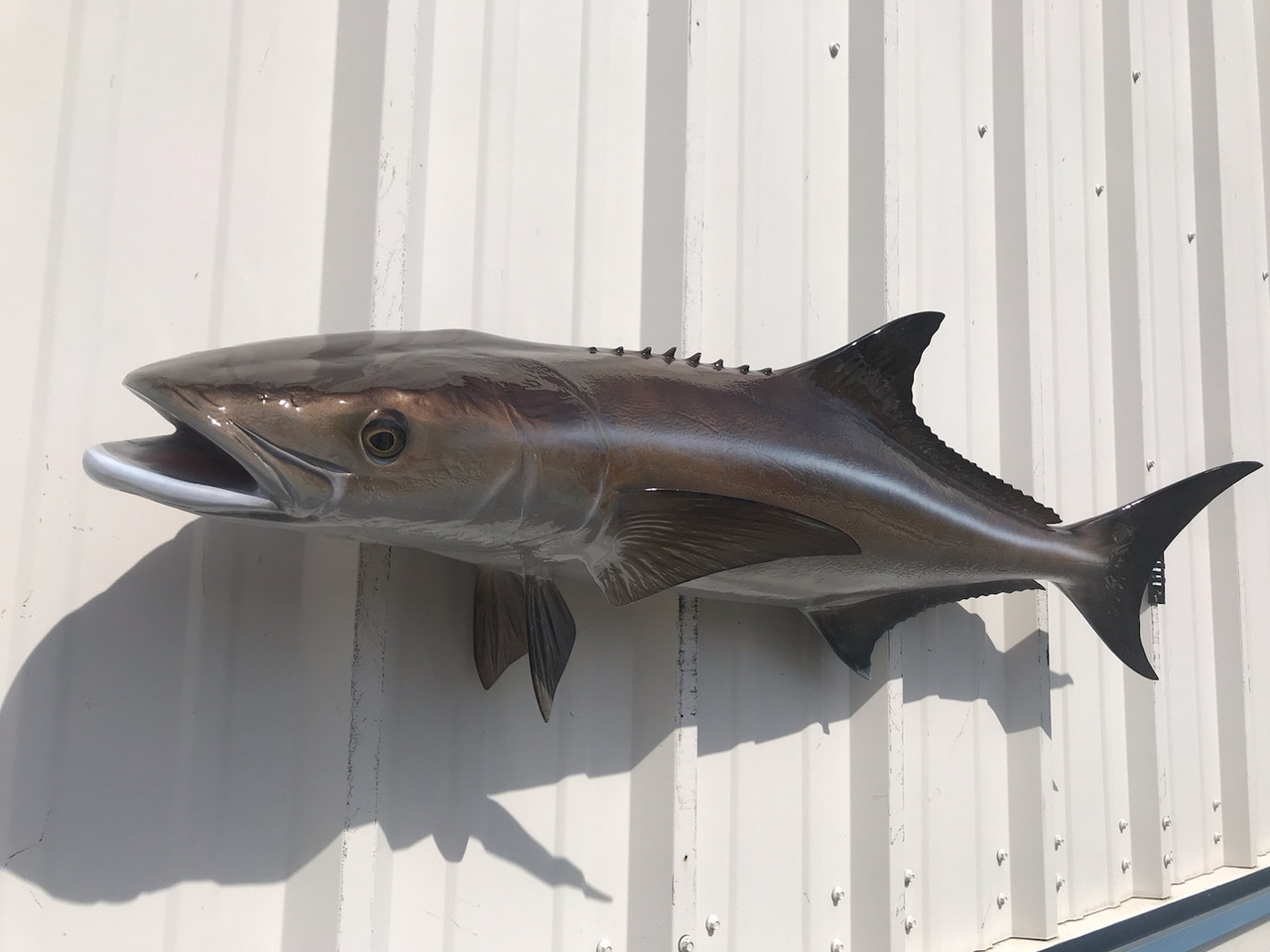48 Inch Cobia Mount 48 Inch Cobia Full Mount 48 Inch Cobia Replica