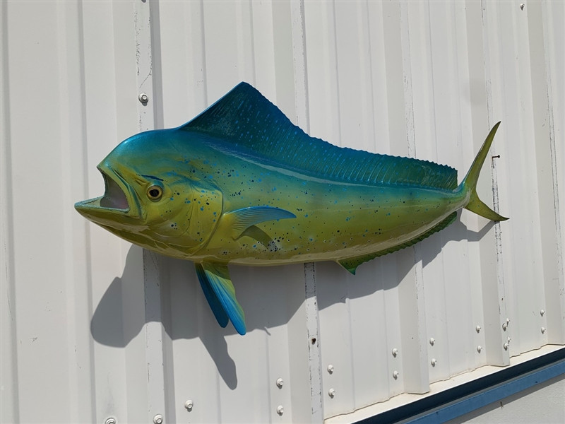 42 Inch Left Facing Cow Dolphin Fish Mount Replica Reproduction