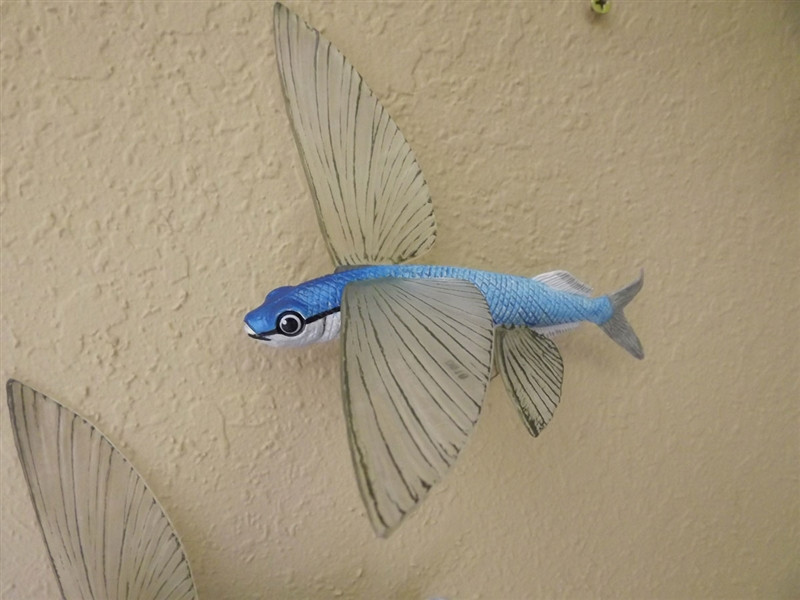 6 Inch Flying Fish Baitfish Mount Replica Reproduction For Sale