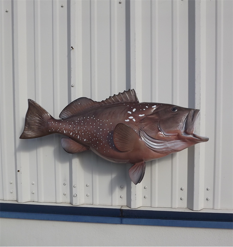 34 Inch Red Grouper Fish Mount Replica Reproduction For Sale