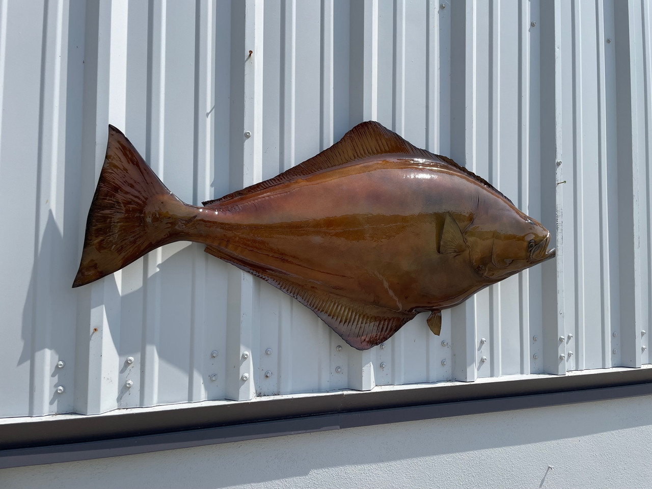 47 Inch Halibut Half Mount Halibut Half Mount