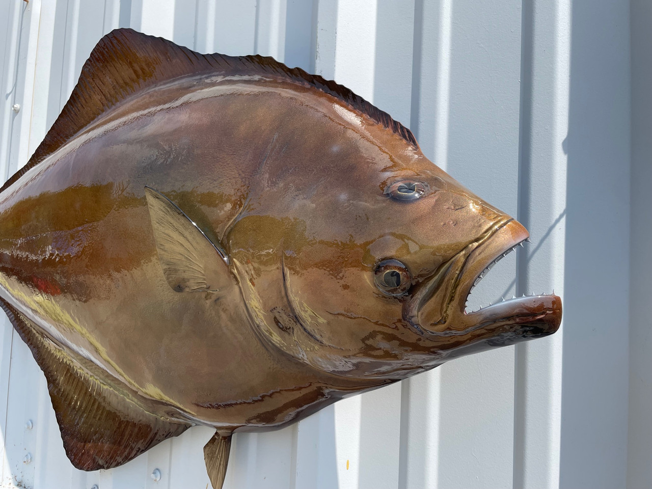 47 Inch Halibut Half Mount Halibut Half Mount