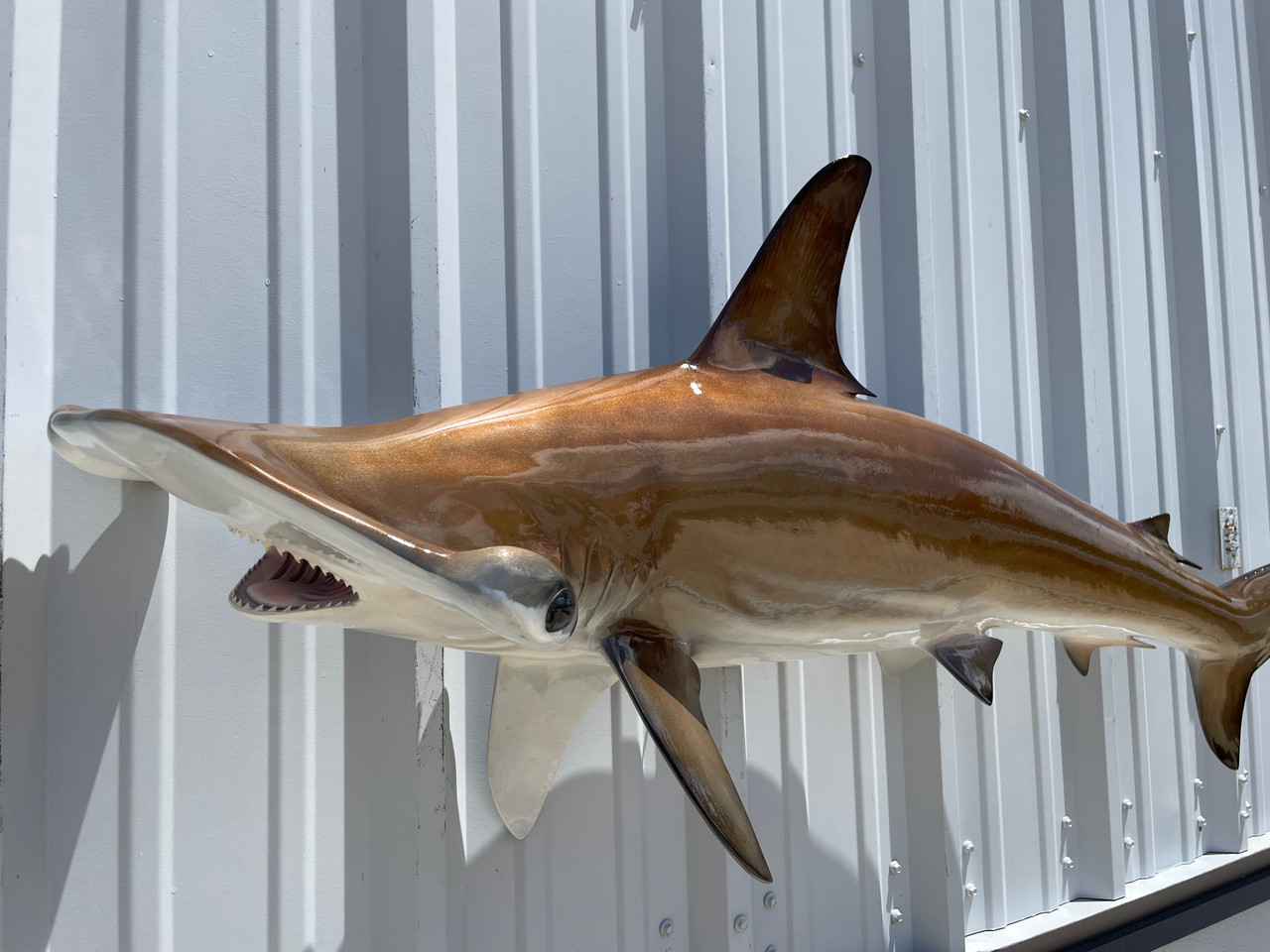 67 Inch Hammerhead Shark Full Mount Replica