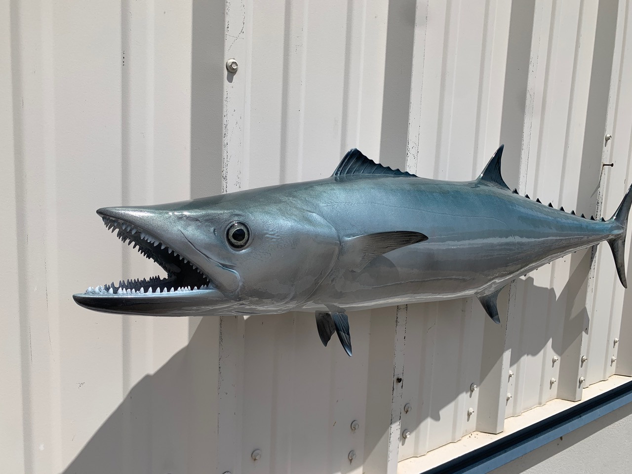 46 Inch Kingfish Fish Mount Replica Reproduction For Sale