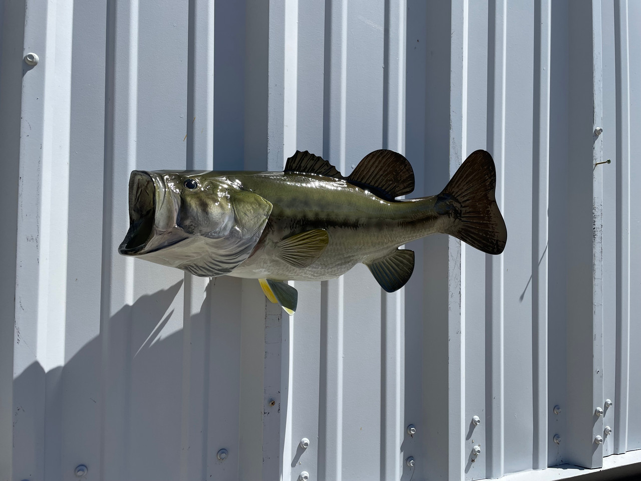 19 Inch Largemouth Bass Fish Mount Replica Reproduction For Sale