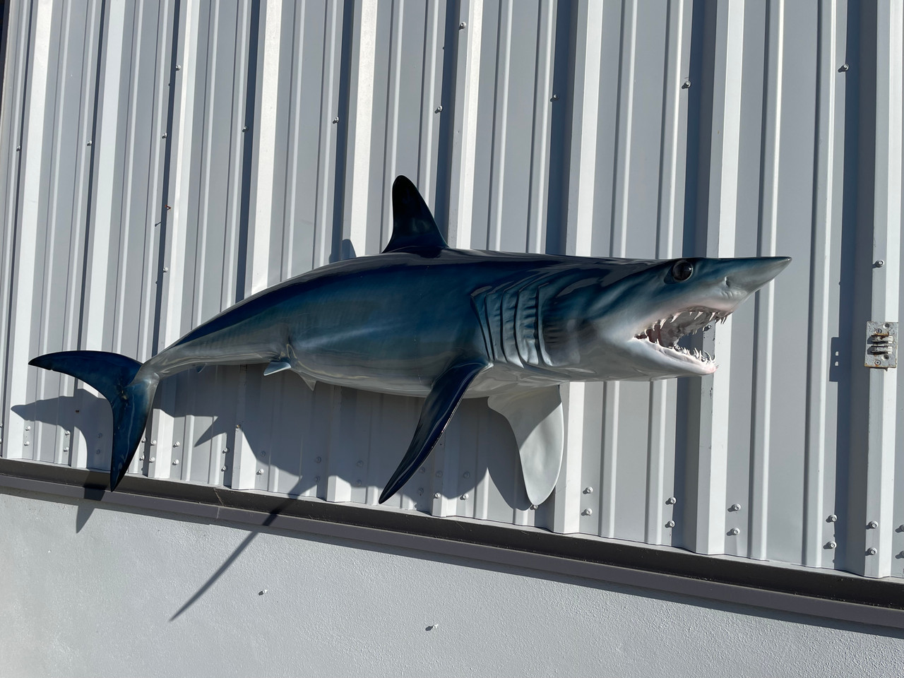 82 Inch Mako Shark Full Mount Replica by Mount This