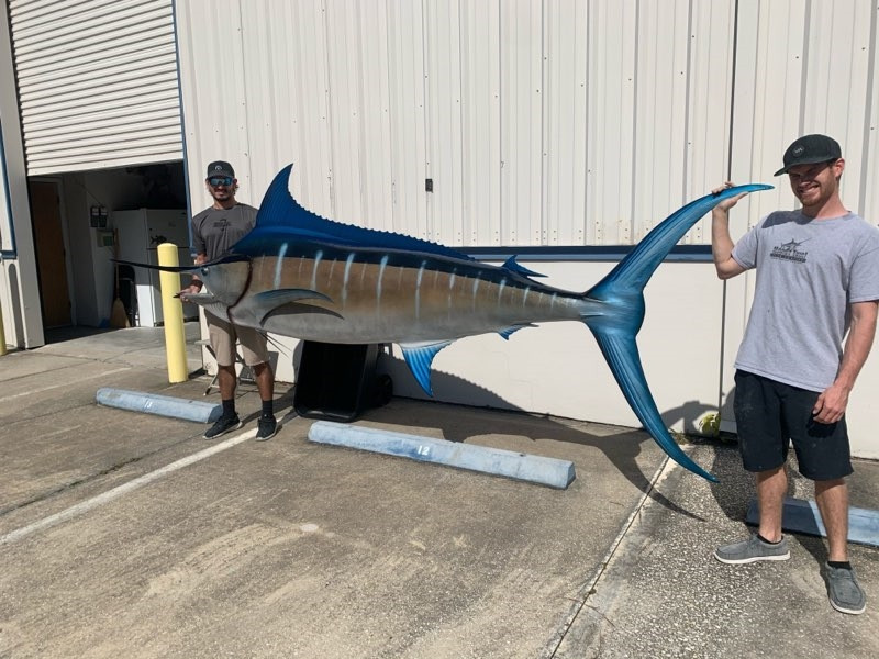 153 Inch Blue Marlin Fish Mount Replica Reproduction For Sale