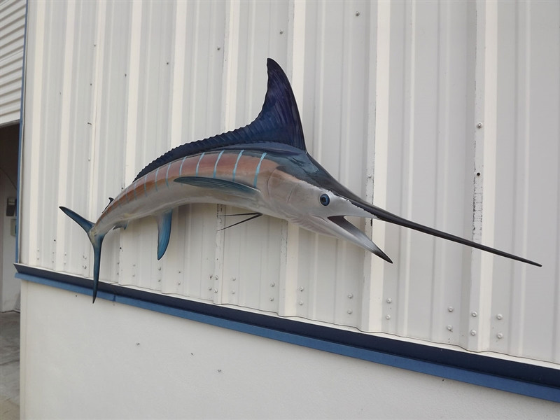 84 Inch Striped Marlin Fish Mount Replica Reproduction For Sale