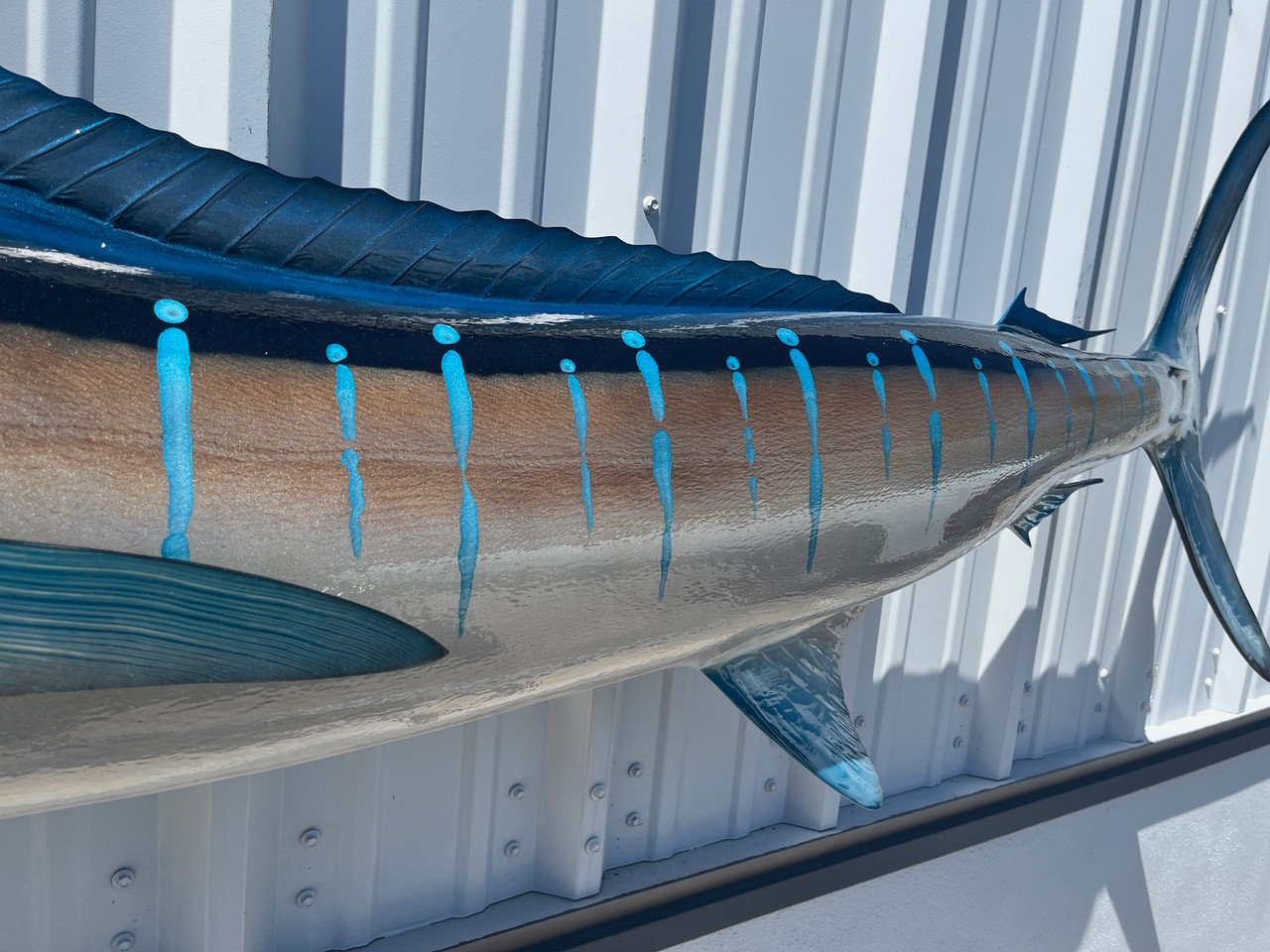 98 Inch Striped Marlin Fish Mount by Mount This Fish Company