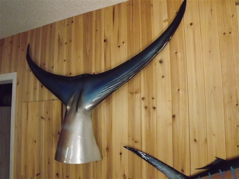 Blue Marlin Tail Fish Mount Two Sided Wall Mount Fish Replica - 105 Inches