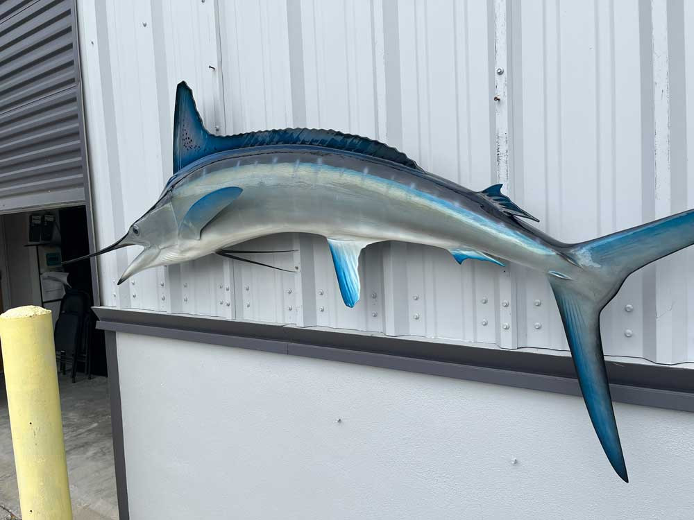 Stunning 87 Inch White Marlin Fish Mount Replica | In Stock And For ...