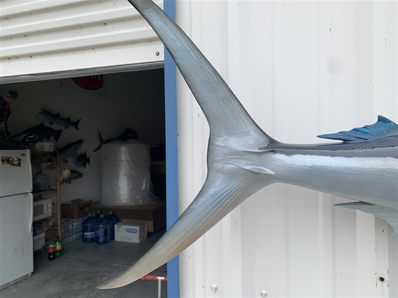 96 Inch White Marlin Fish Mount Replica