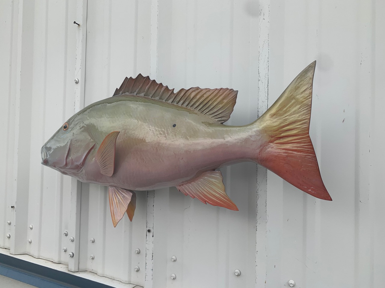 32 Inch Mutton Snapper Fish Mount Replica For Sale