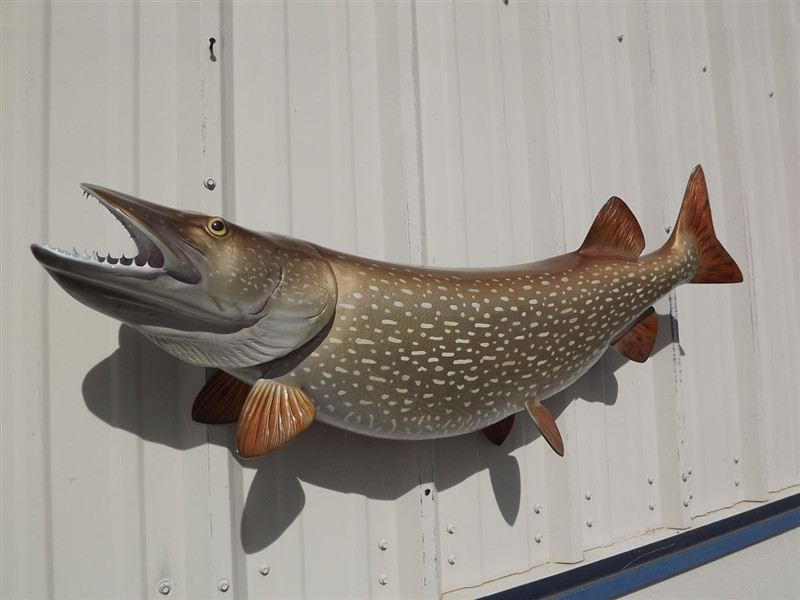 45 Inch Northern Pike Fish Mount Replica Reproduction For Sale