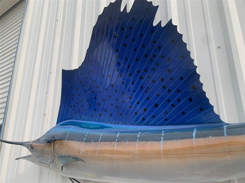 110 Inch Pacific Sailfish Fish Mount Replica Reproduction For Sale