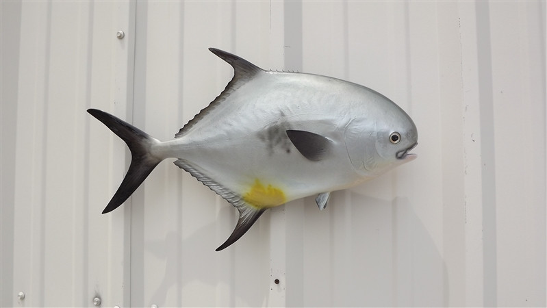Permit Fish Mount Two Sided Wall Mount Fish Replica - 22 Inches