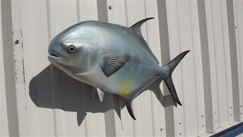 Permit Fish Mount Two Sided Wall Mount Fish Replica - 25 Inches