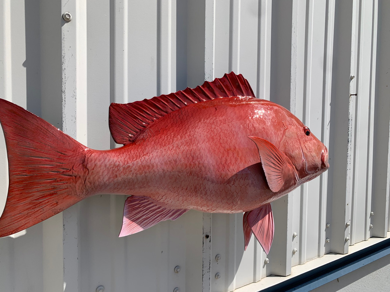 30 Inch Red Snapper Fish Mount Replica Reproduction For Sale