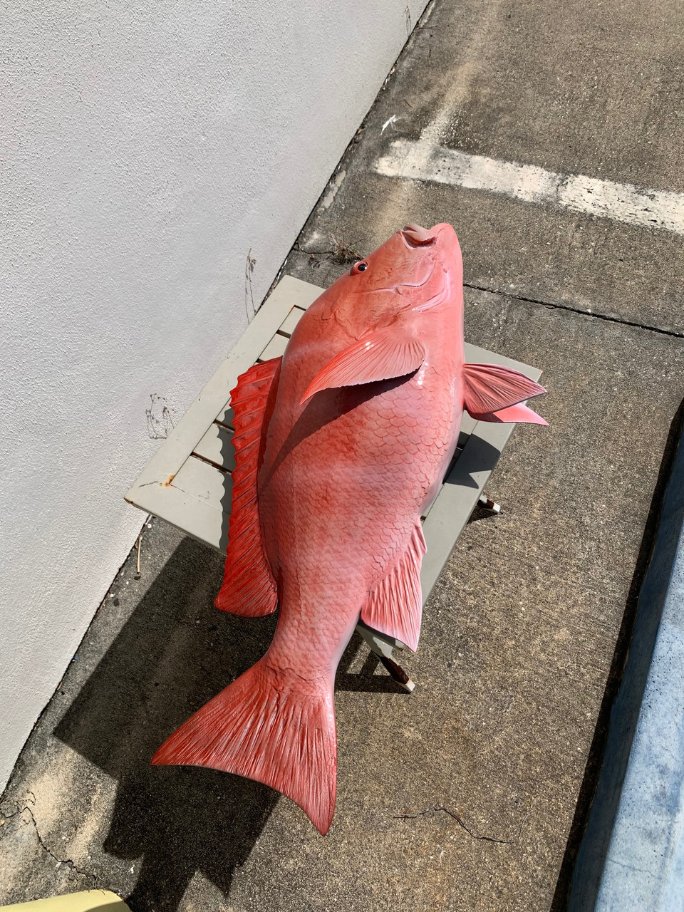 30 Inch Red Snapper Fish Mount Replica Reproduction For Sale