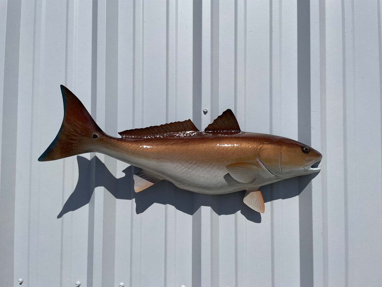 29 Inch Redfish Half Mount Fish Replica