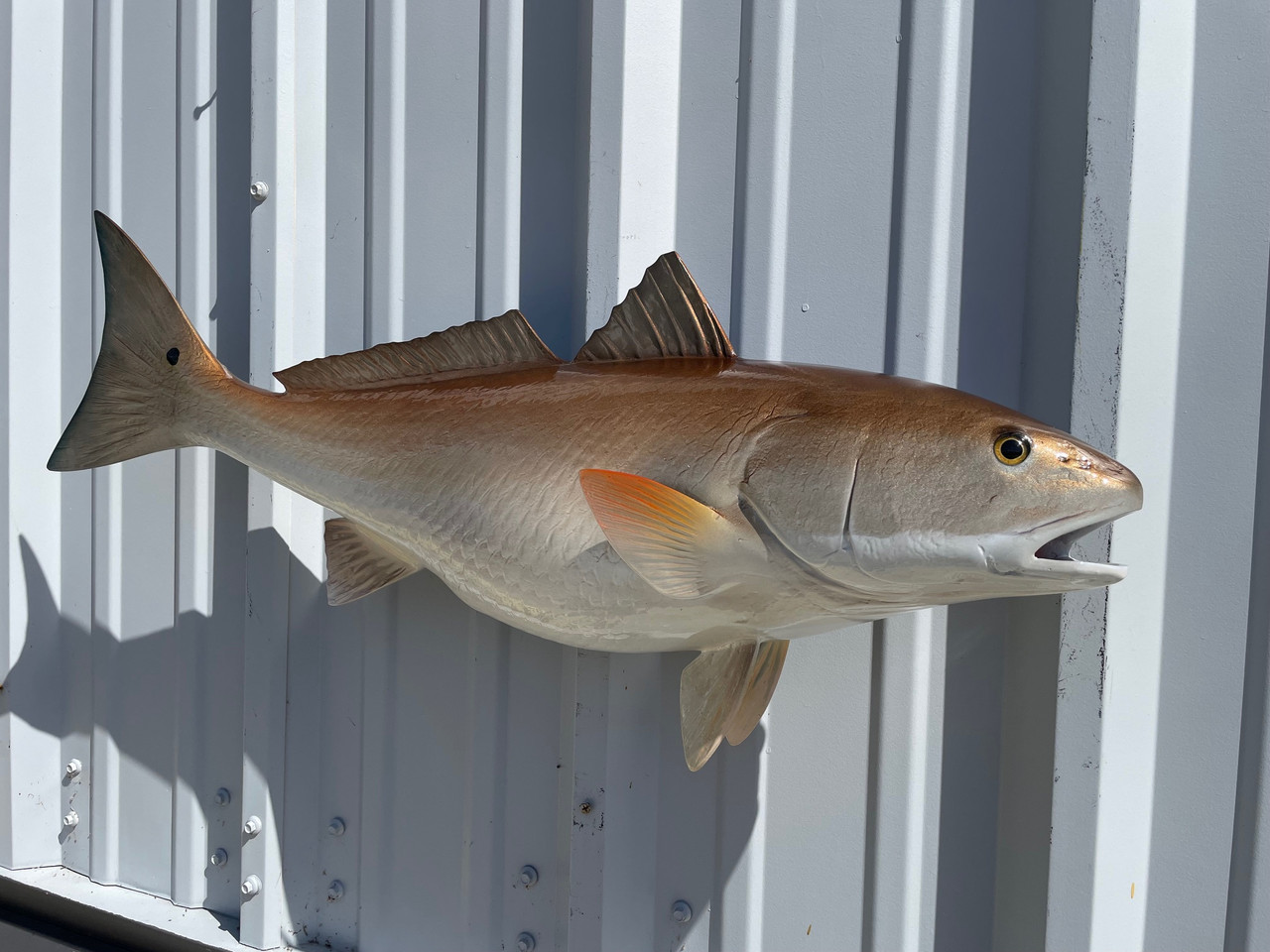 29 Inch Redfish Fish Mount Replica Reproduction For Sale