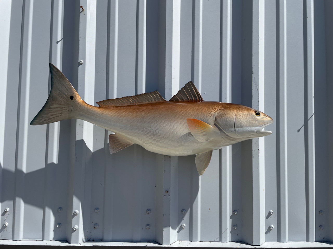 29 Inch Redfish Fish Mount Replica Reproduction For Sale