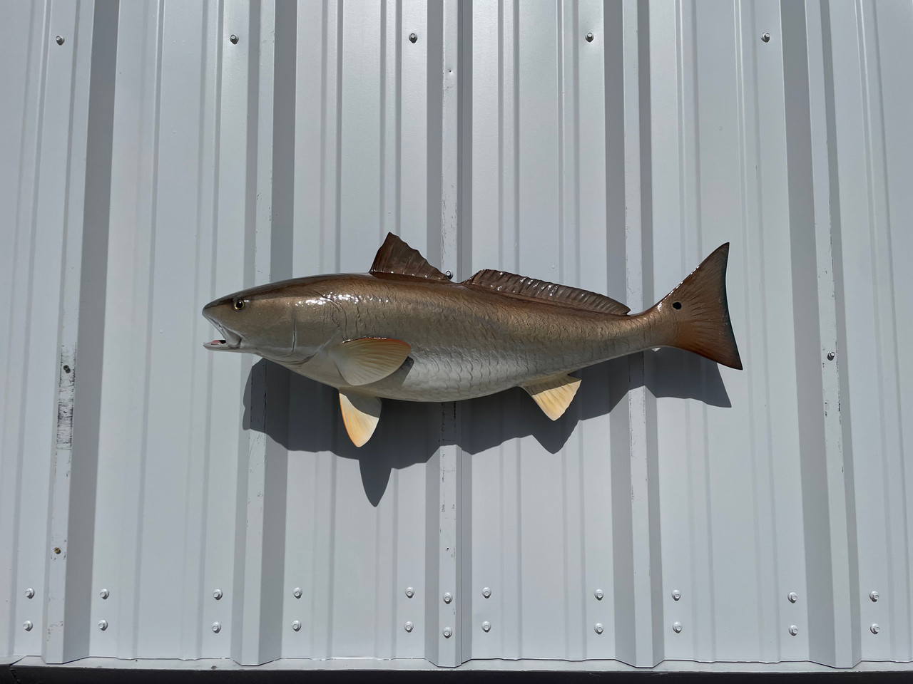 32 Inch Redfish Fish Mount Replica Reproduction For Sale