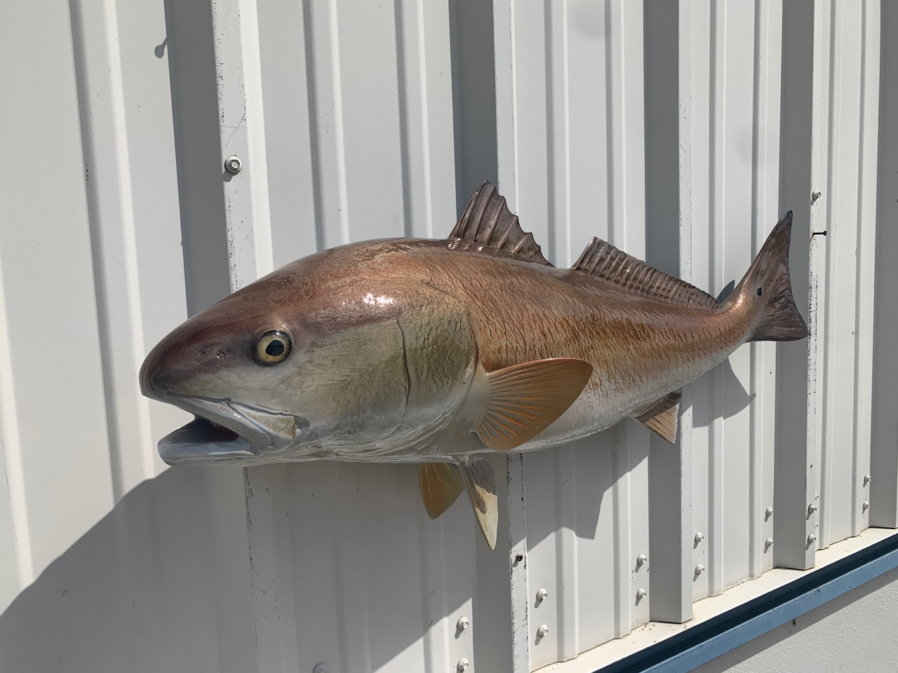 38 Inch Redfish Fish Mount Replica Reproduction For Sale